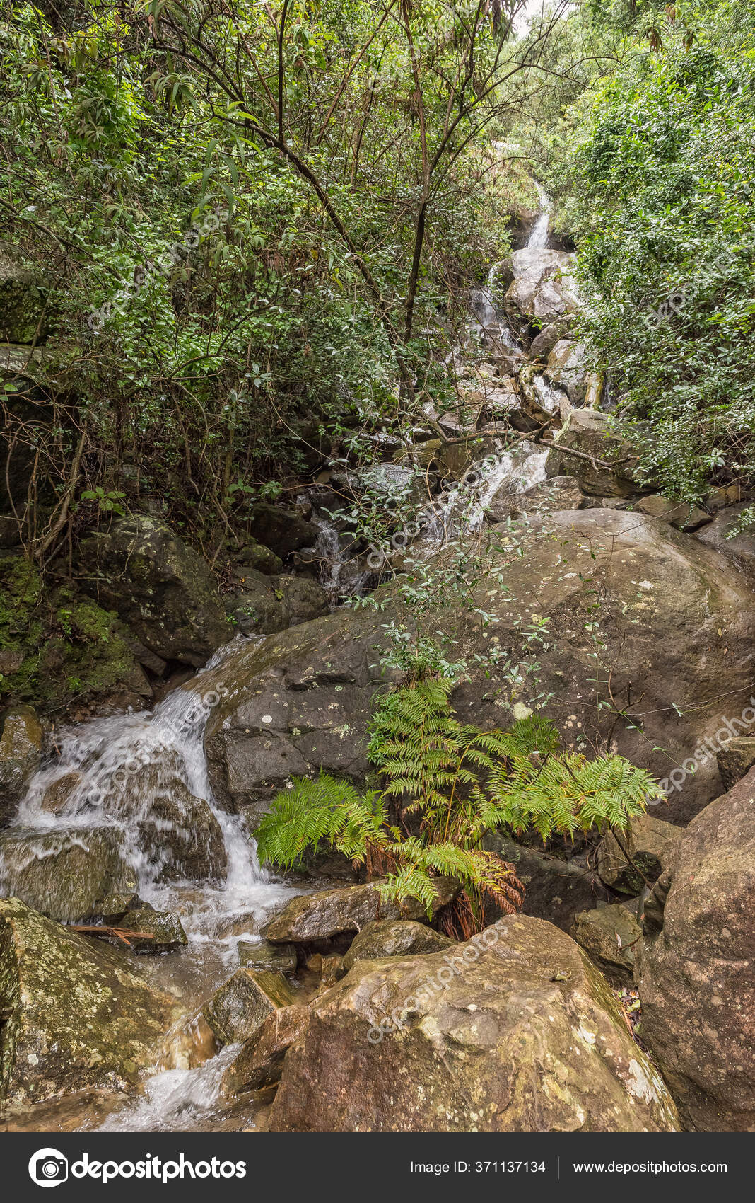Cascades Tiger Falls Slope Dooley Hills — Stock Photo © dpreezg #371137134