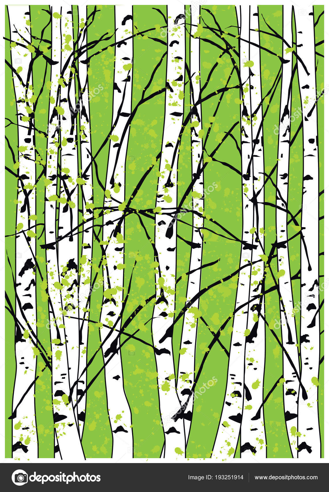 Sping vector illustration of beech trees forest. Beautiful birch trees ...