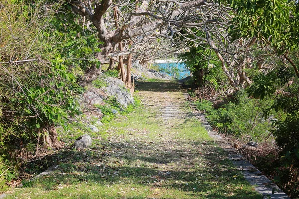 Garvel pathway Stock Photos, Royalty Free Garvel pathway Images ...