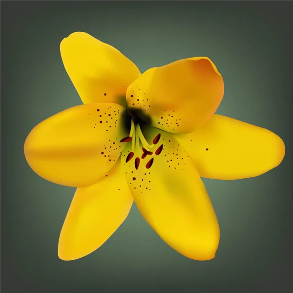 50,796,940 Dafli Vector Images | Depositphotos