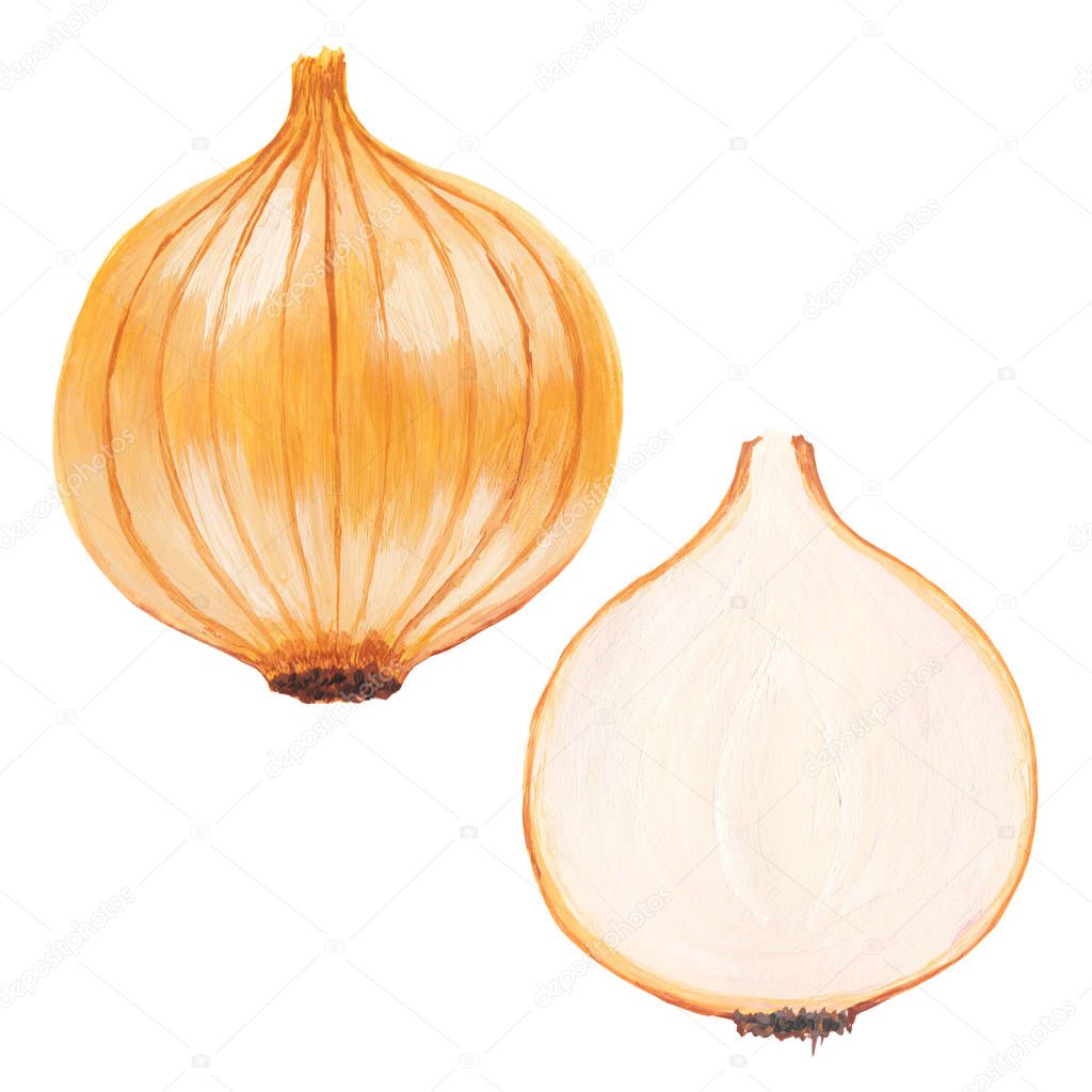 Cabeza de cebolla en cáscara marrón claro y al lado de la mitad cortada ...