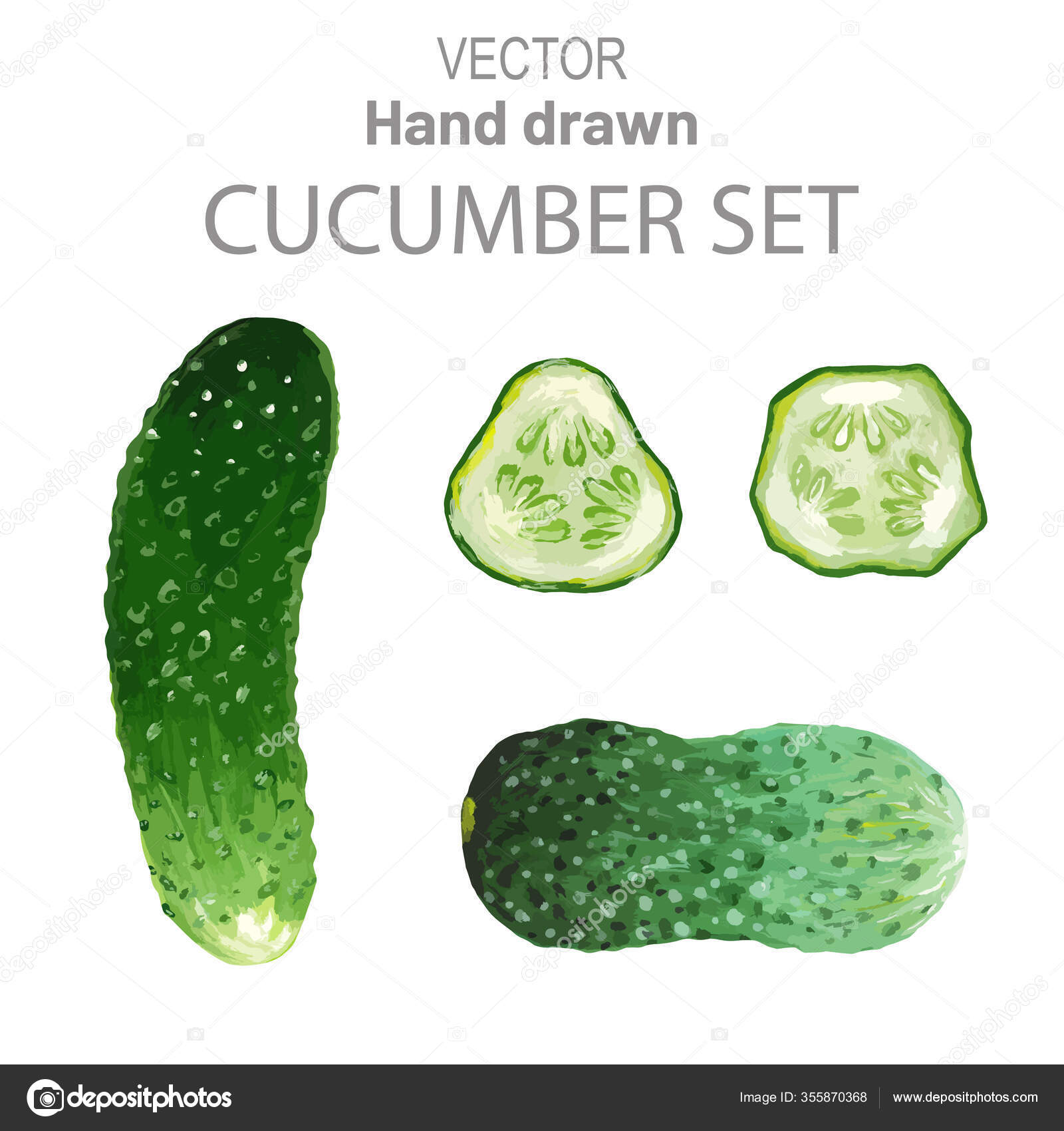 Cucumber Drawing