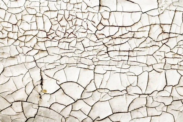 Paint Crackle Texture