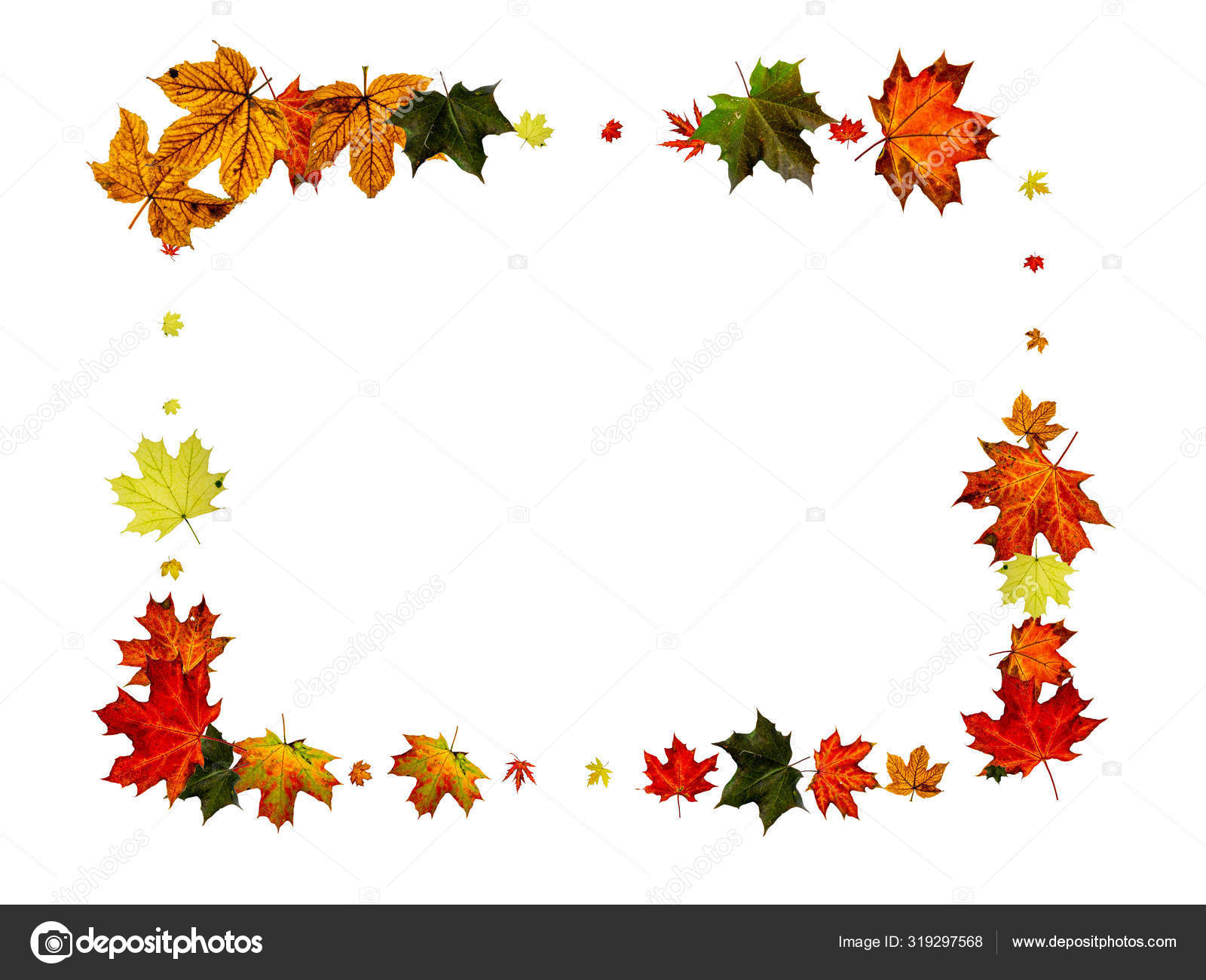 November Leaves Border