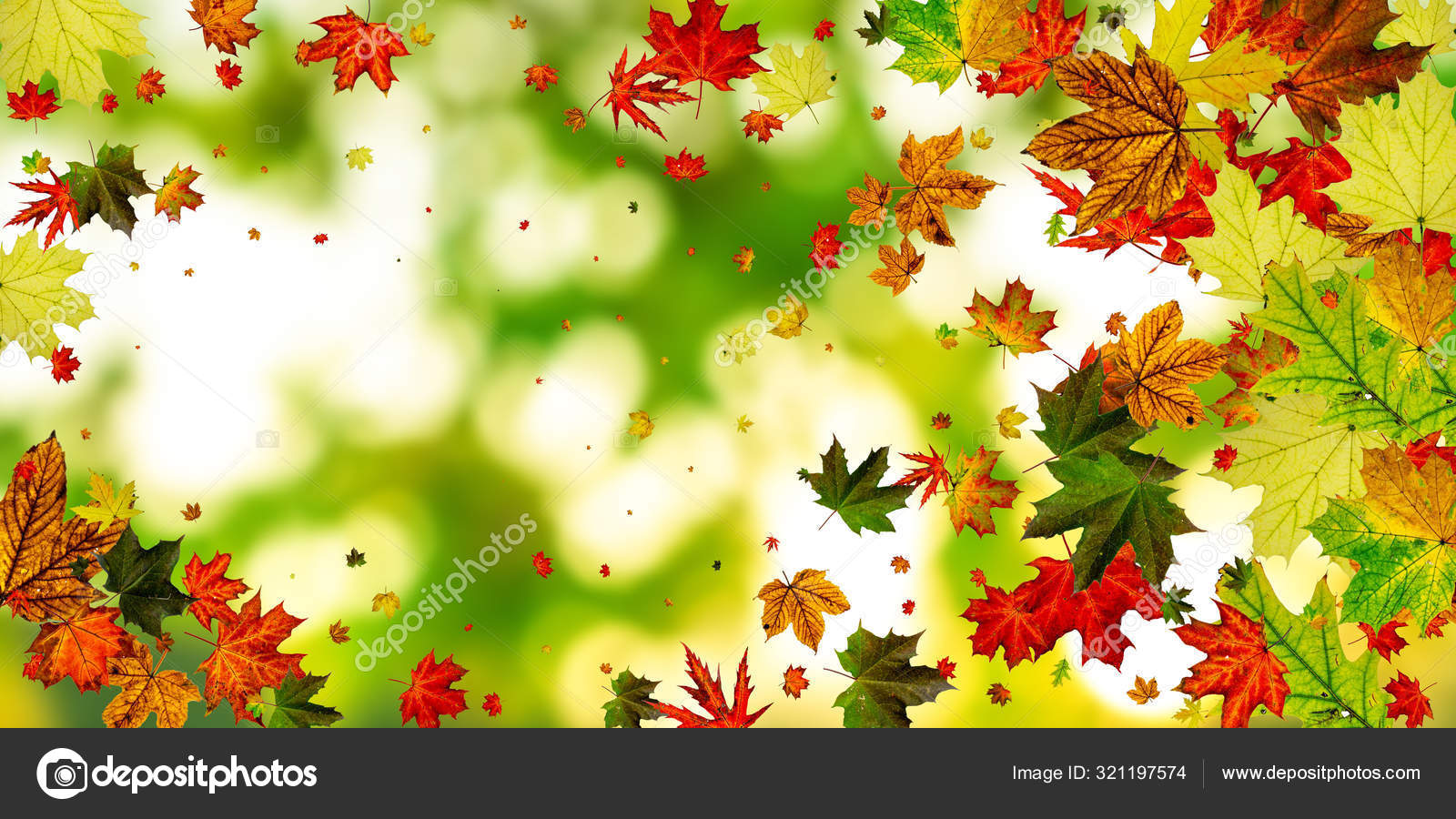 November Leaves Border