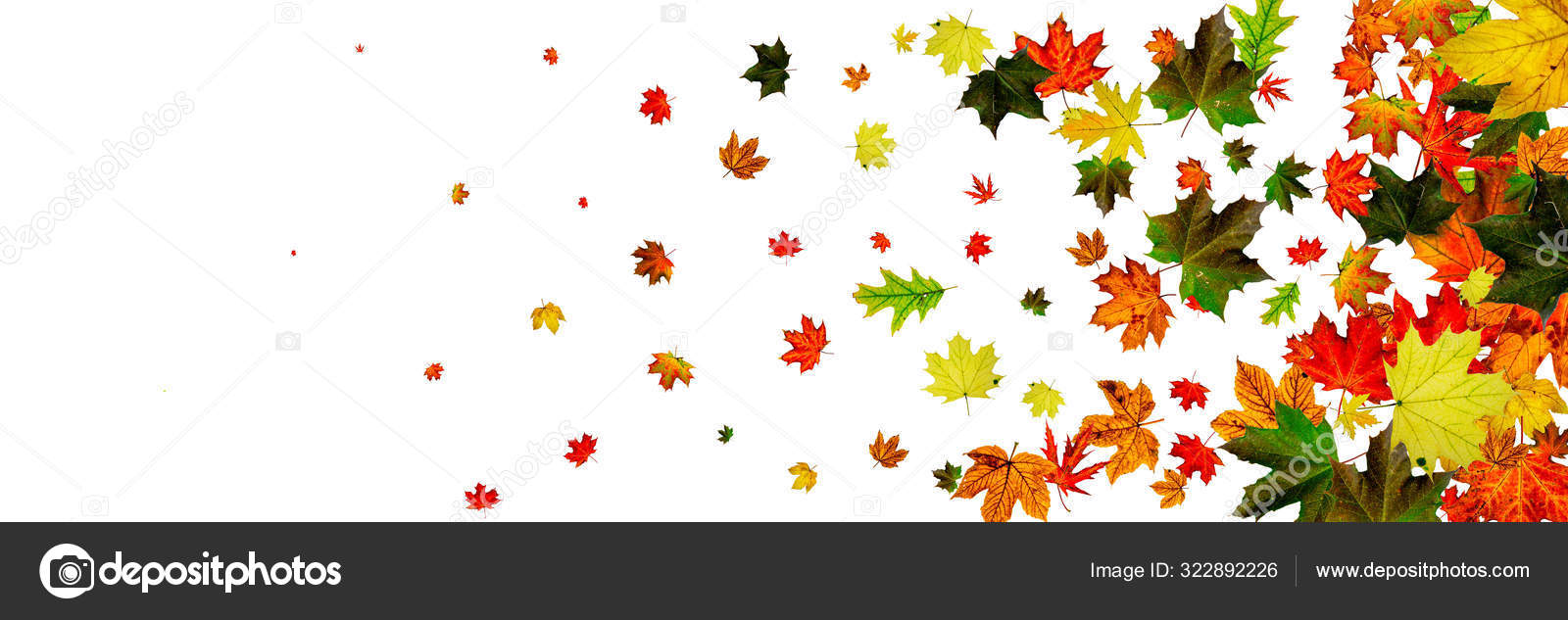 November Leaves Border