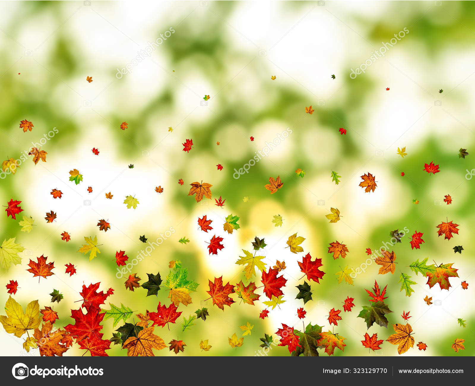 Leaves pattern. October abstract falling background. Autumn concept ...