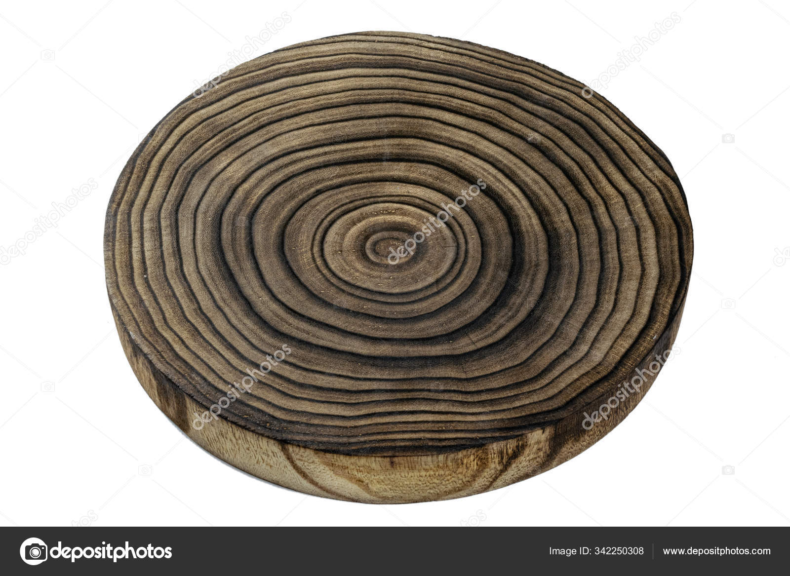 Tree pile. Oak stump log ring isolated on white background. Wood ...