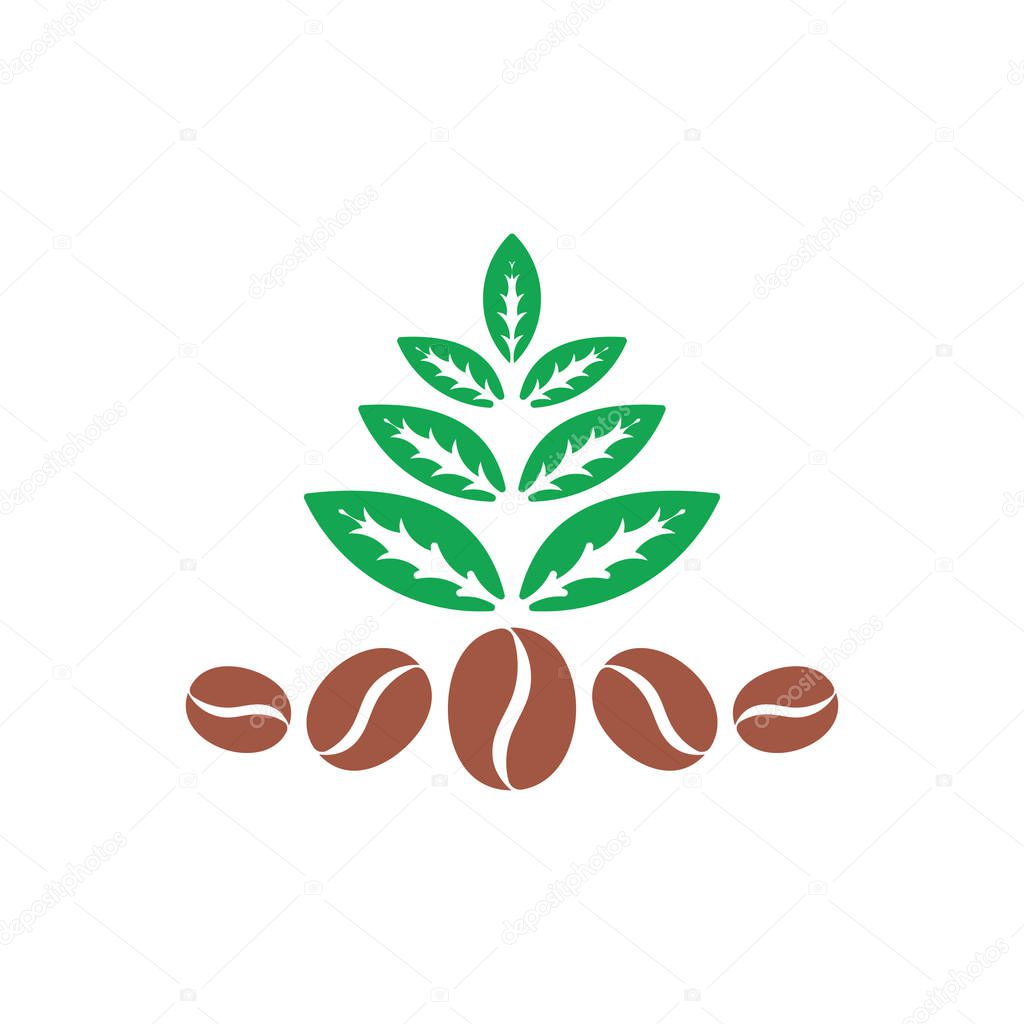 hoja t grano de caf s mbolo logo vector 2024