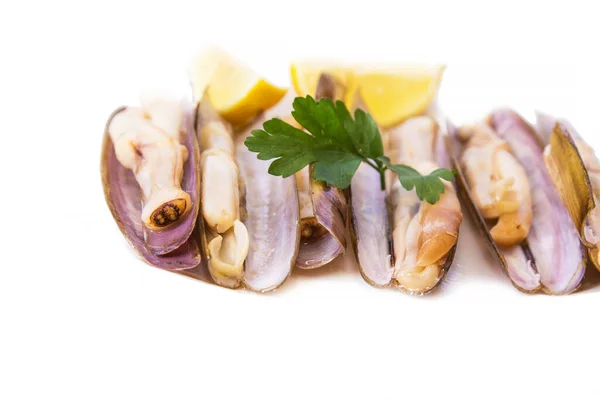 Razor clam Stock Photos, Royalty Free Razor clam Images | Depositphotos