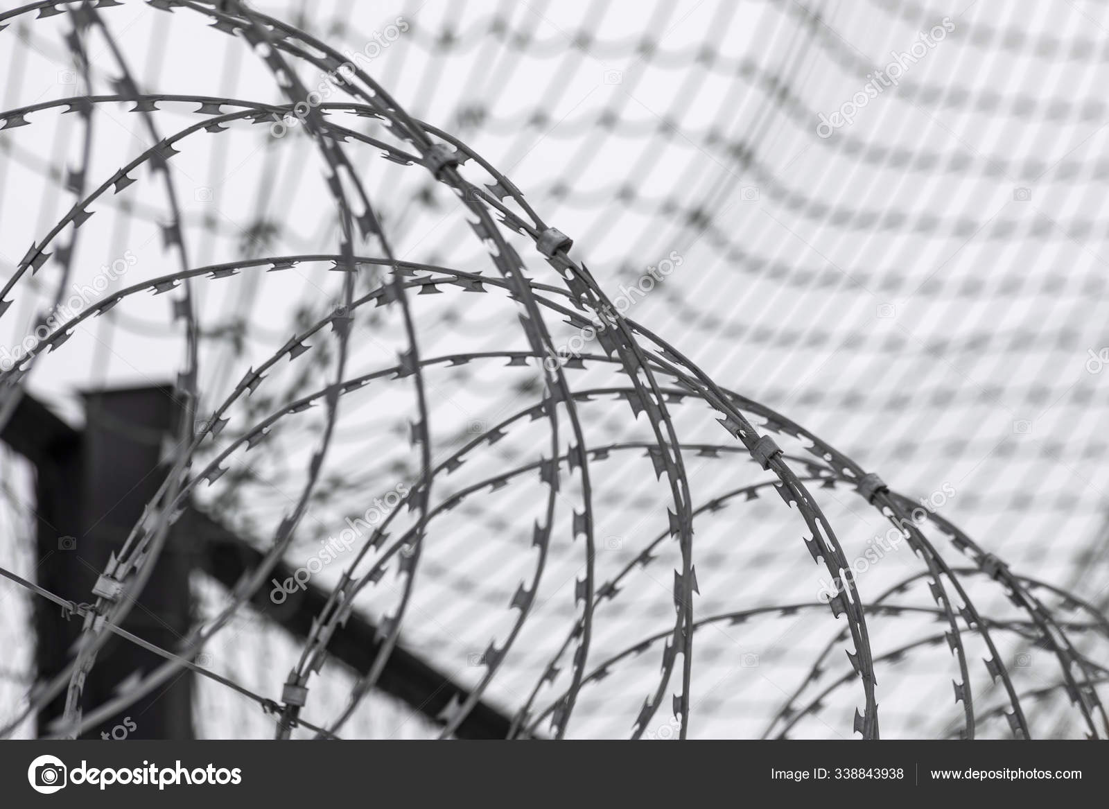 Barbed Wire Protective Net Illustrating Concept Penitentiary System ...