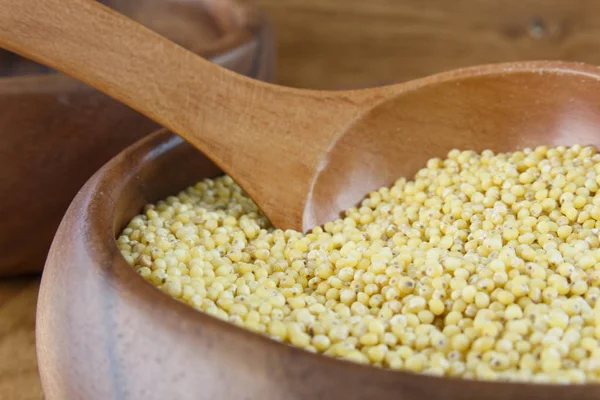 Small millet grains ⬇ Stock Photo, Image by © pilotL39 #190482908