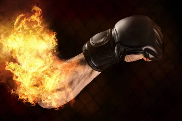 Boxing fire Stock Photos, Royalty Free Boxing fire Images | Depositphotos®