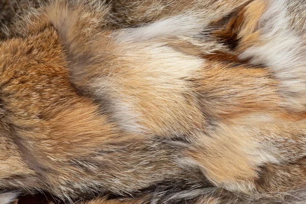 fur coat from pieces of fur of different animals as a background ...