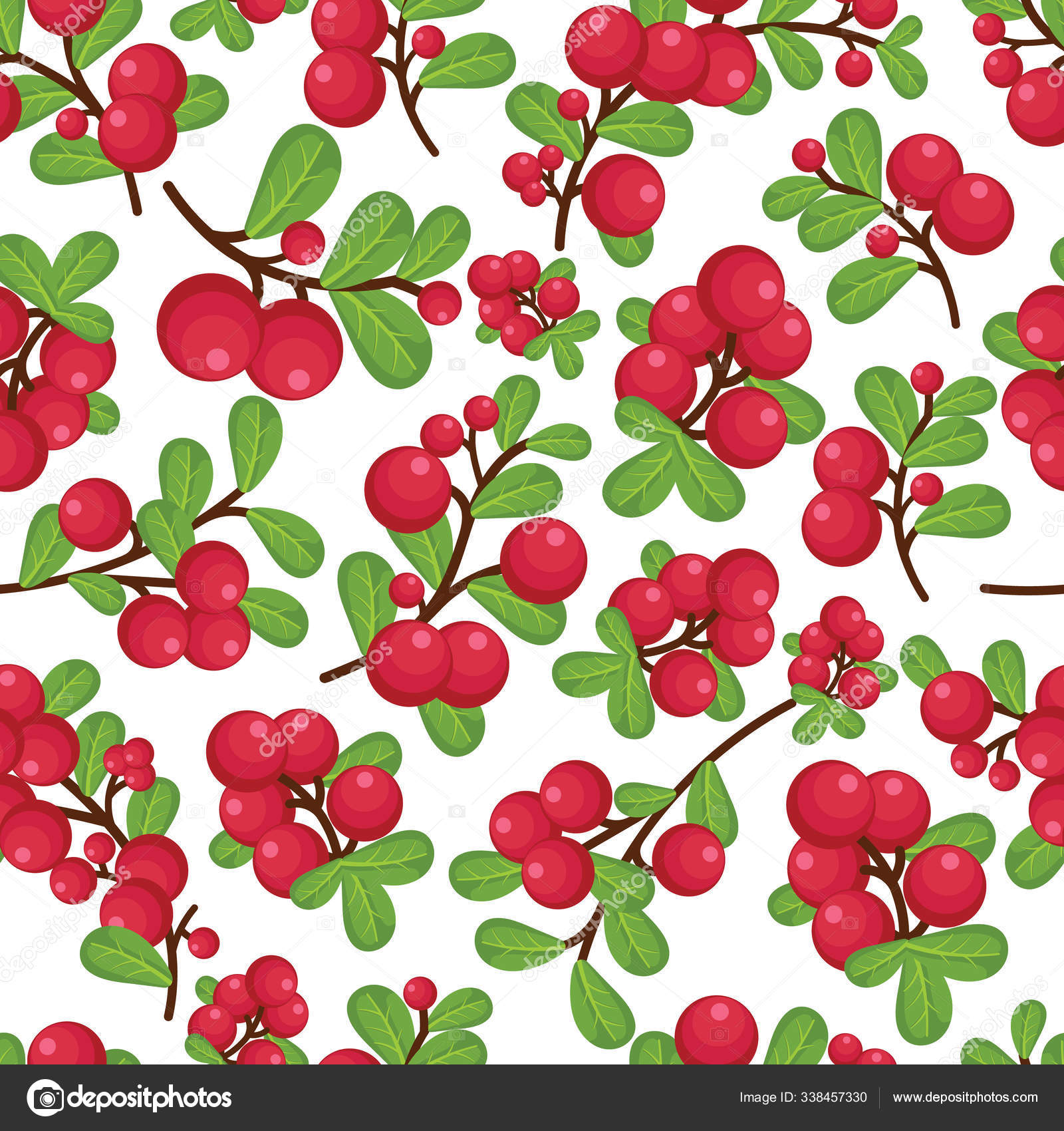 Vector beautiful cranberries twing seamless pattern background on white ...