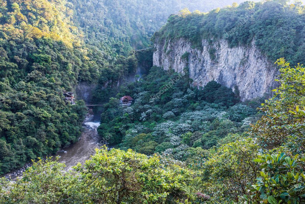 Bosques de montaña en ecuador | Bosque lluvioso de montaña, cerca de la ...
