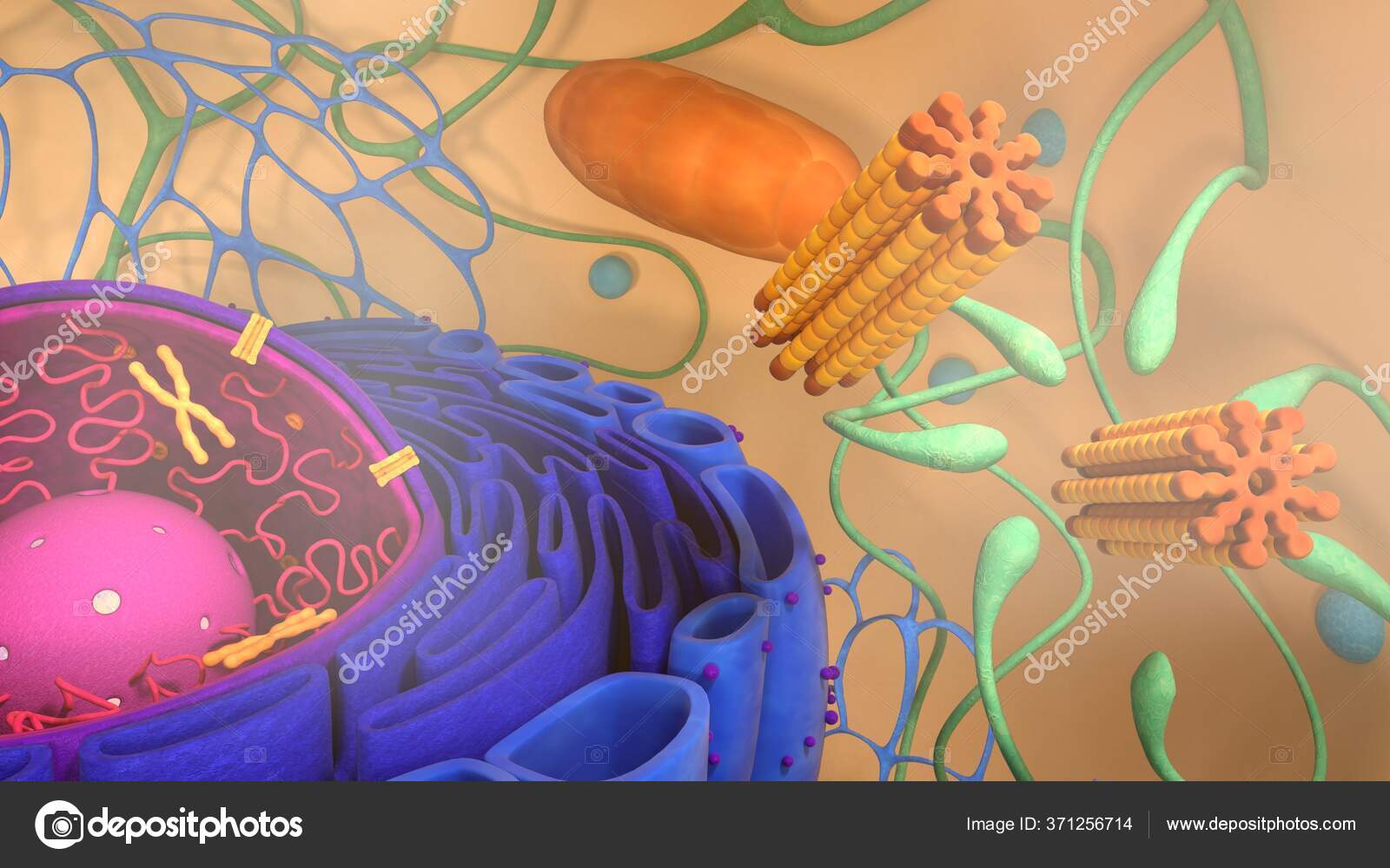 3d render of body cells. 3d illustration cell modell. Stock Photo by ...