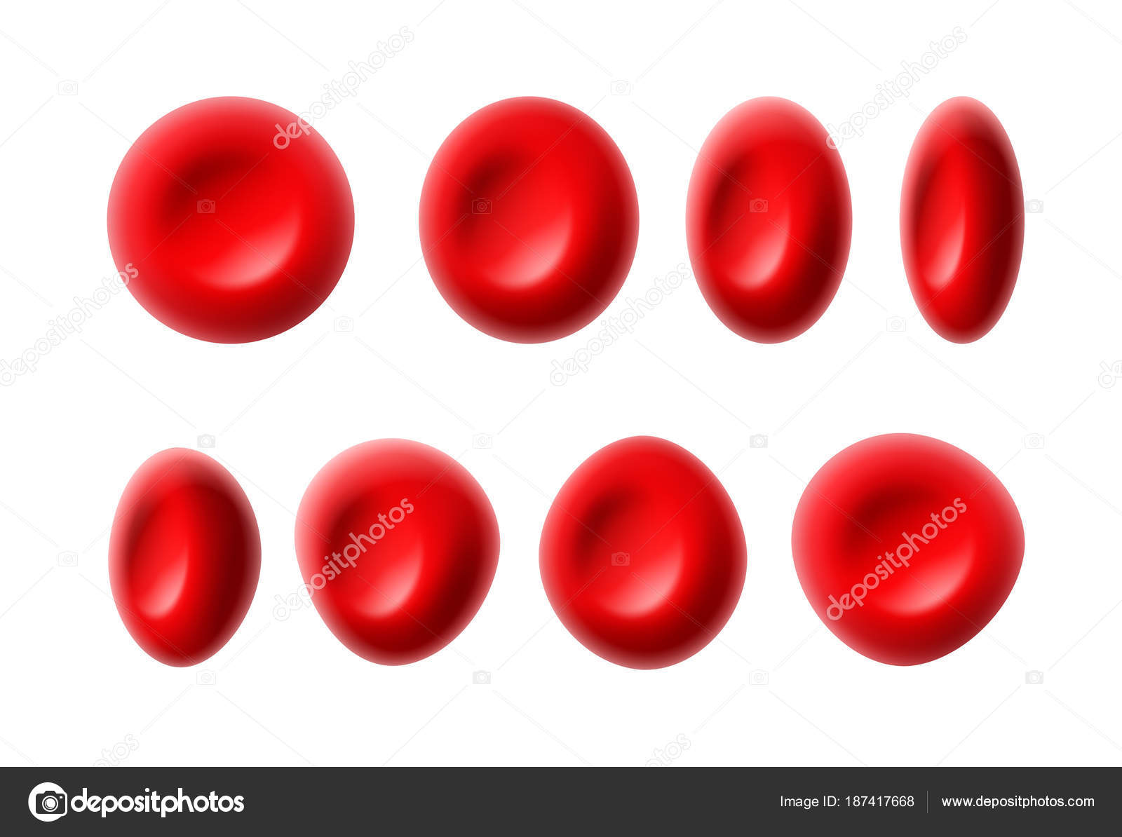 Red blood cells Stock Vector by ©Zonda 187417668