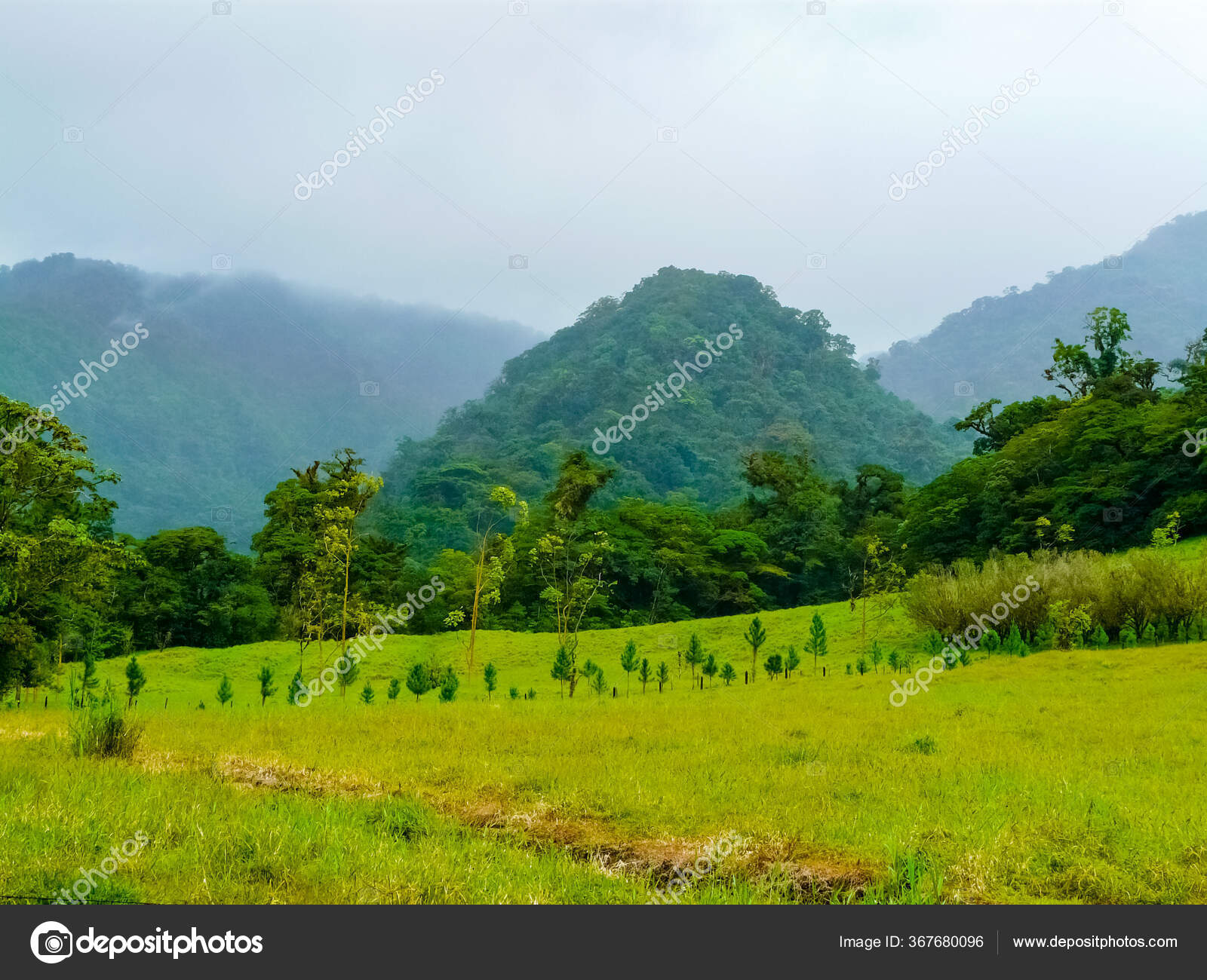 Arenal Volcano National Park Alajuela San Carlos Costa Rica Stock Photo ...
