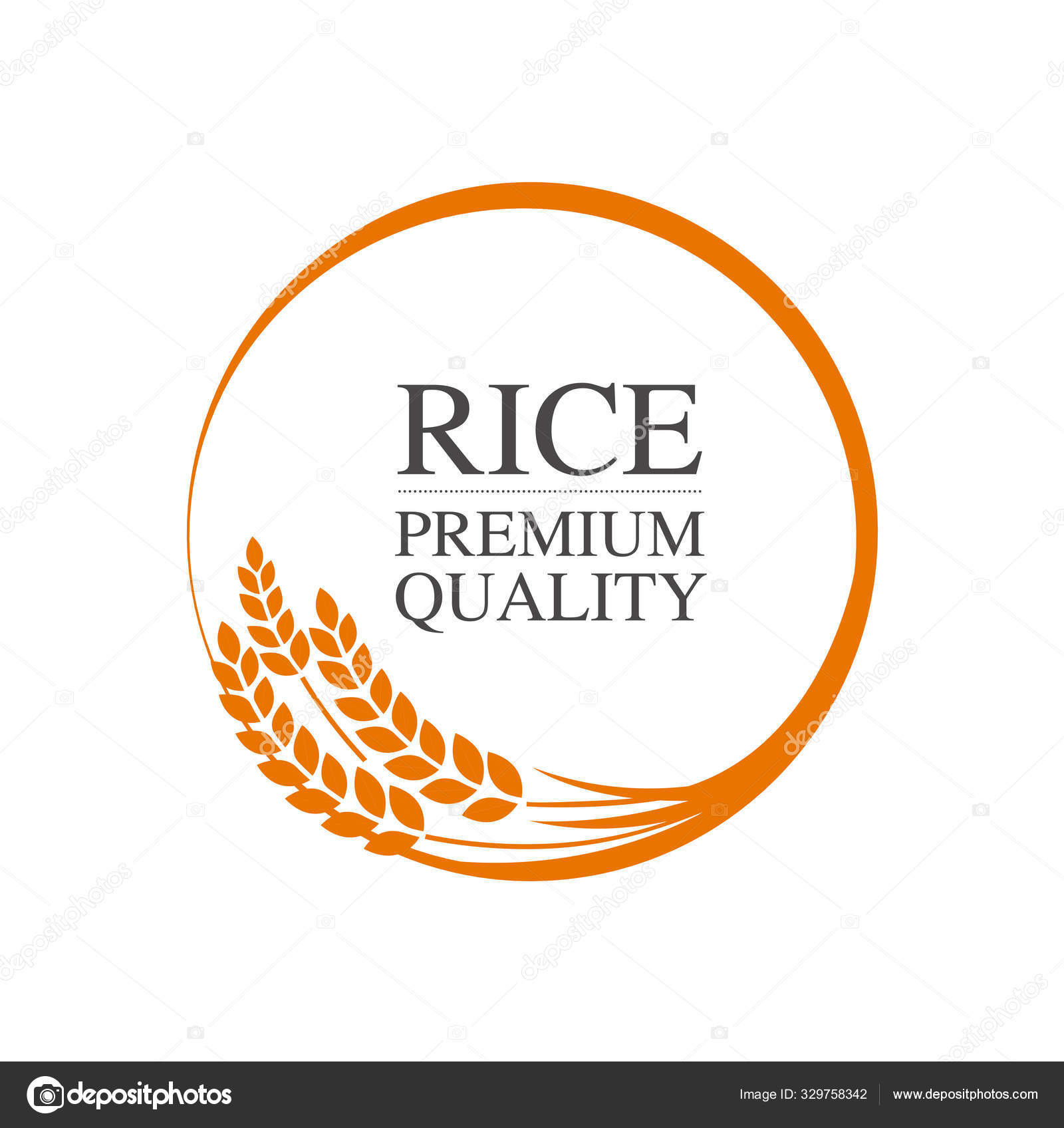 Premium Rice Great Quality Design Concept Vector Stock Vector by ...