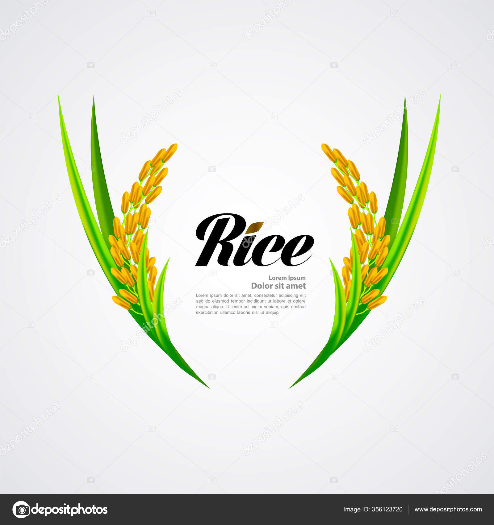 Premium Rice Great Quality Design Concept Vector Stock Vector Image by ...