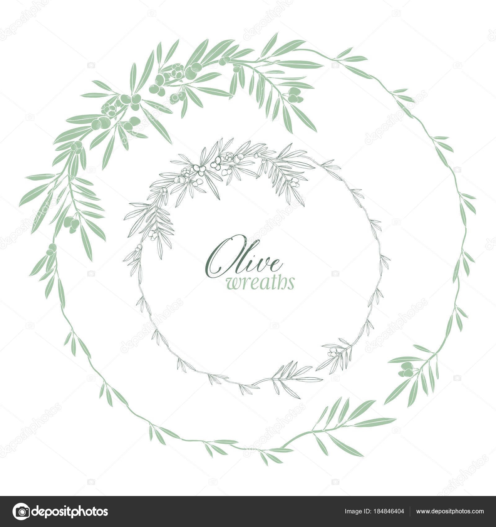 Set of Hand-drawn modern Olive Wreaths Stock Vector by ©Sketchdesigns ...