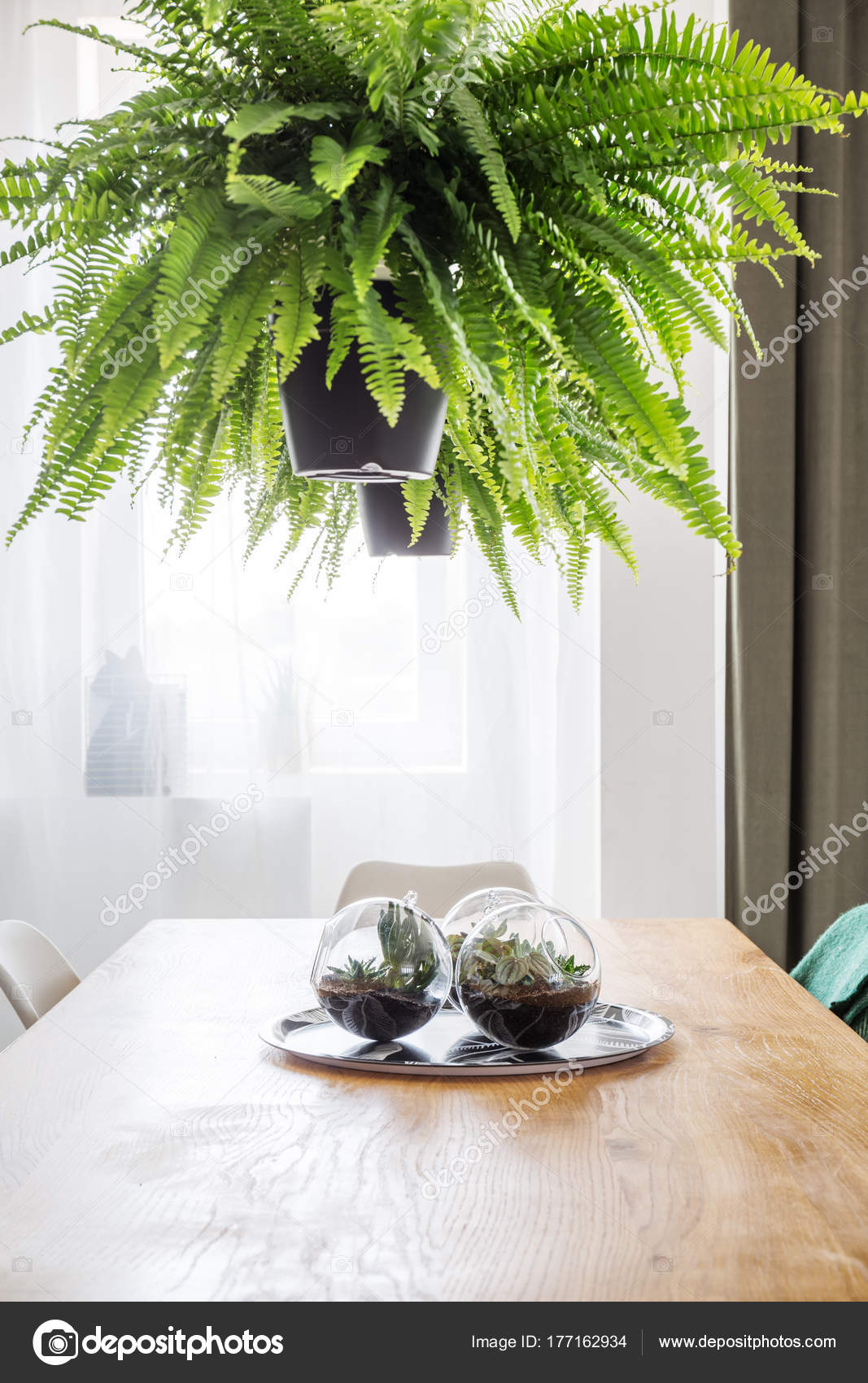 Bushy fern over a table Stock Photo by ©photographee.eu 177162934