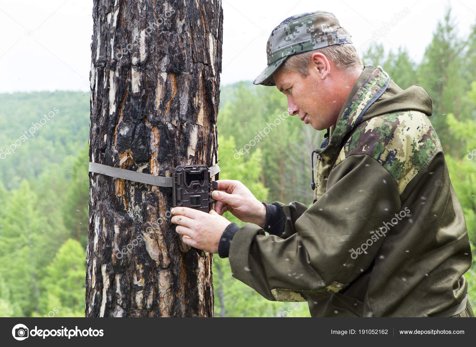 Camera trap on the tree — Stock Photo © sdigitall #191052162