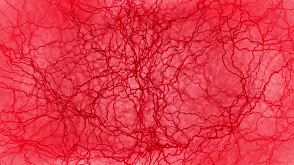 Loop Animation Human Blood Vessel Red Capillaries Eye Blood Red — Stock ...