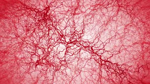 Loop Animation Human Blood Vessel Red Capillaries Eye Blood Red — Stock ...