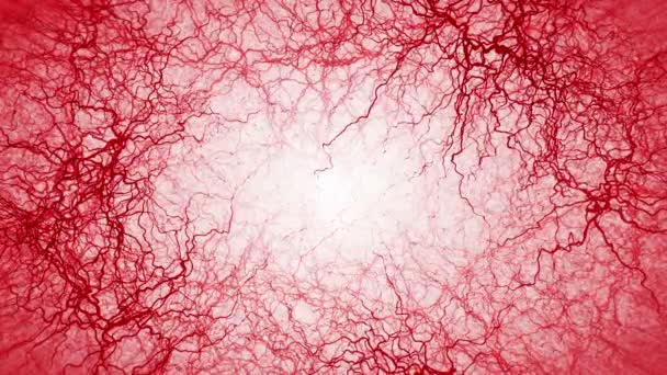 Loop Animation Human Blood Vessel Red Capillaries Eye Blood Red — Stock ...