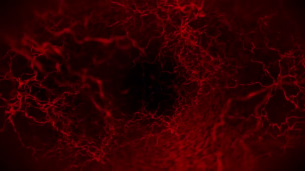 Loop Animation Human Blood Vessel Red Capillaries Eye Blood Black ...