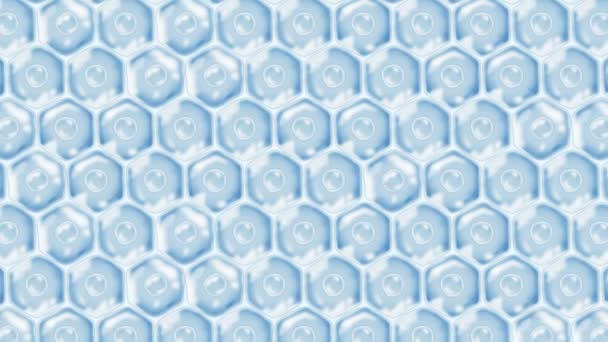 Human Skin Cells Each Cell Membrane Cellular Therapy Disease Treatment ...