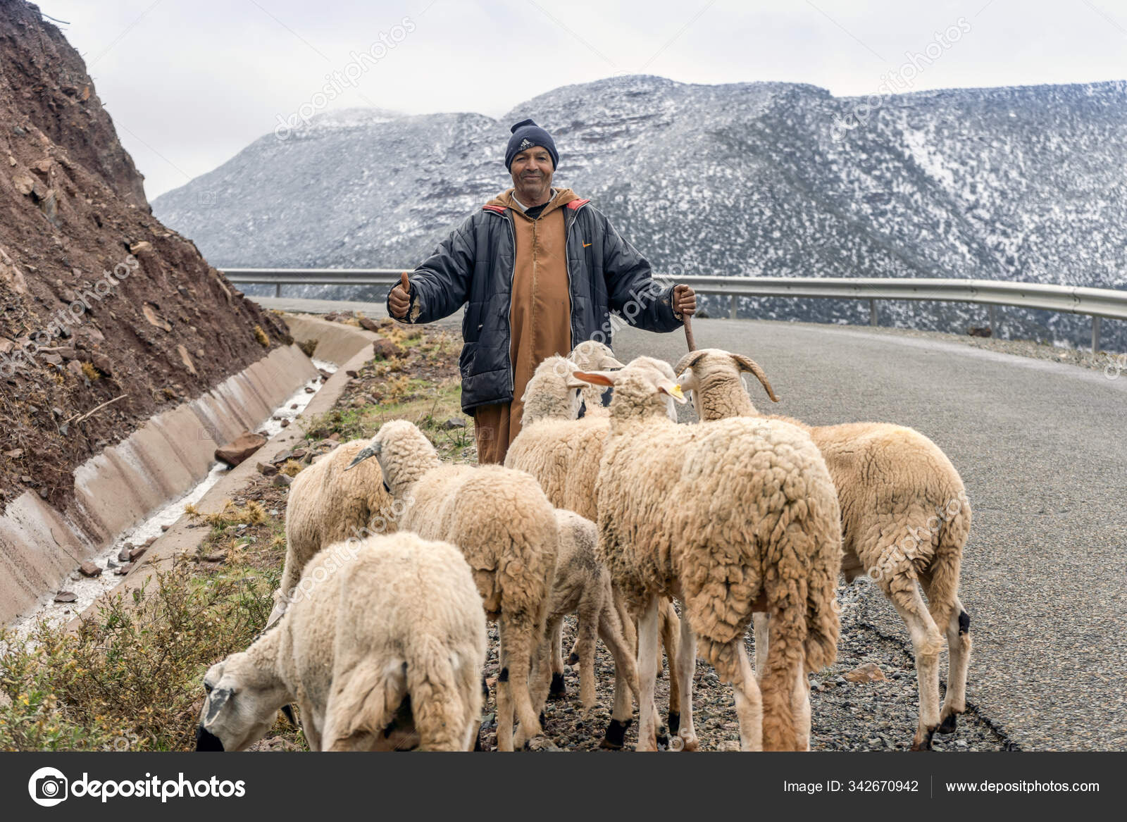 Berber shepherd with his flock in remote High Atlas mountain – Stock ...