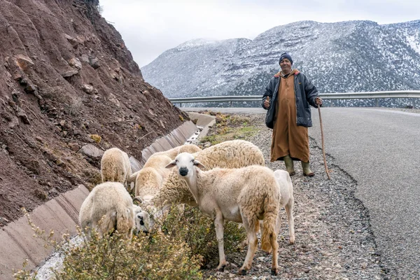 Berber shepherd with his flock in remote High Atlas mountain – Stock ...