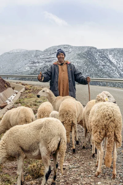 Arab shepherd Stock Photos, Royalty Free Arab shepherd Images ...