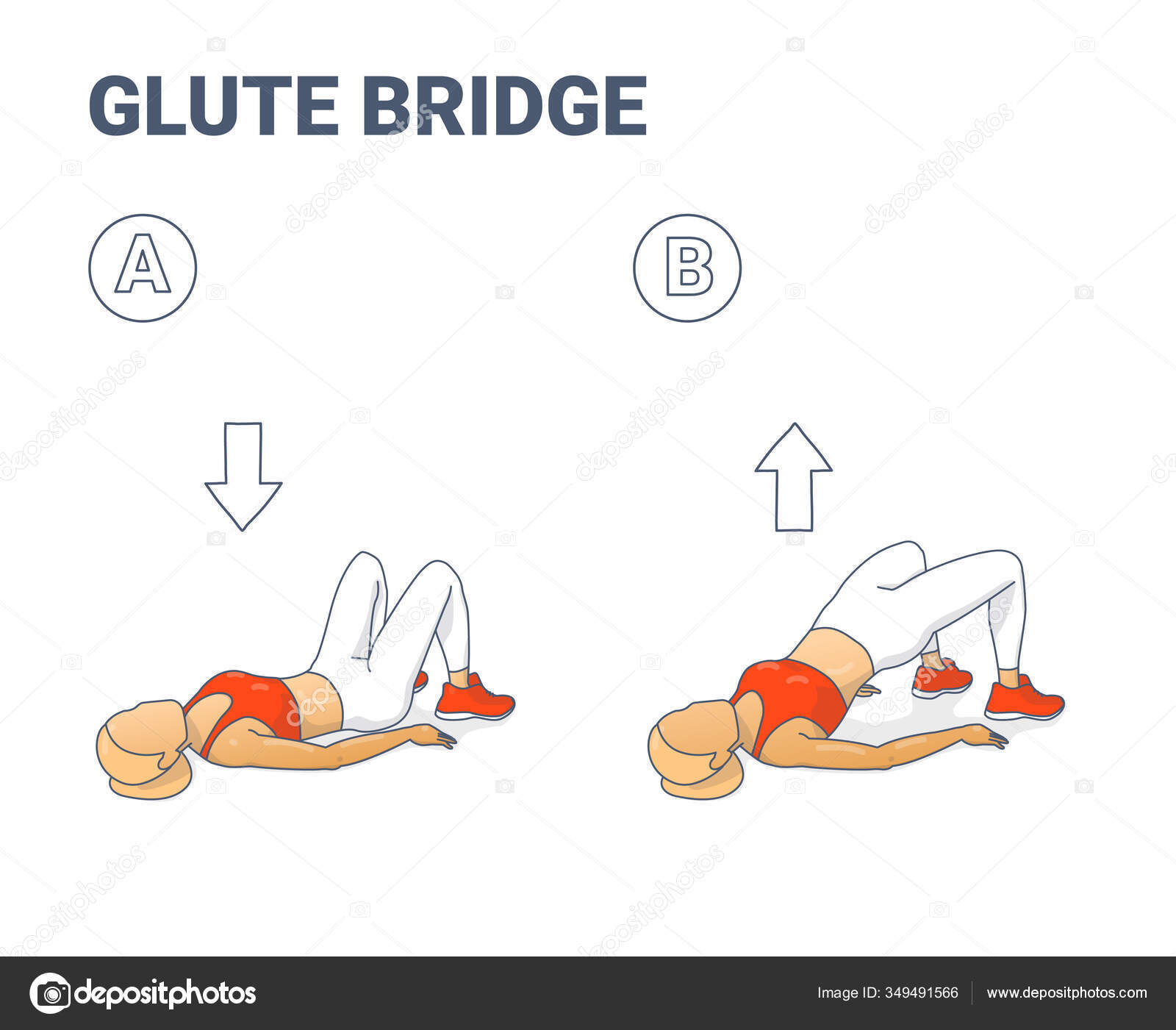 Bridging Exercise Progression