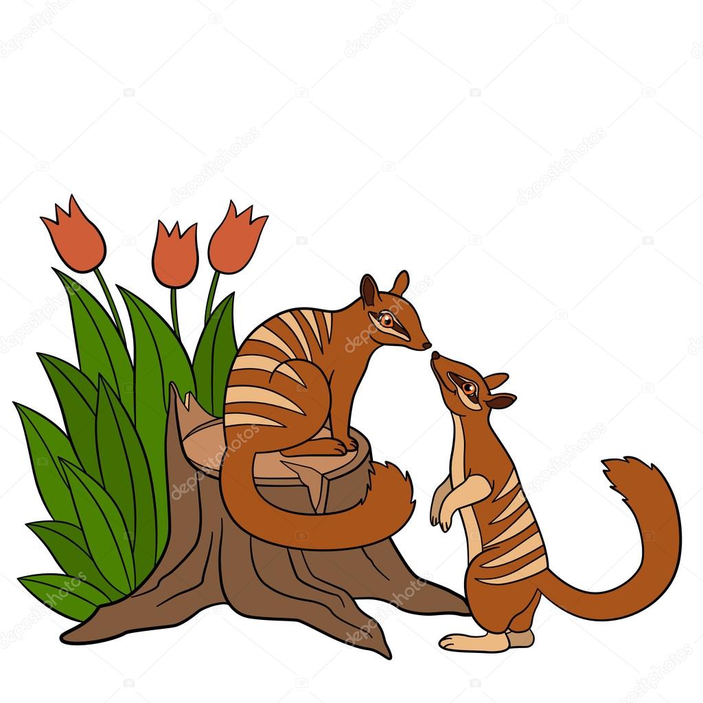 Cartoon animals. Two little cute numbats. Stock Vector by ©ya-mayka ...