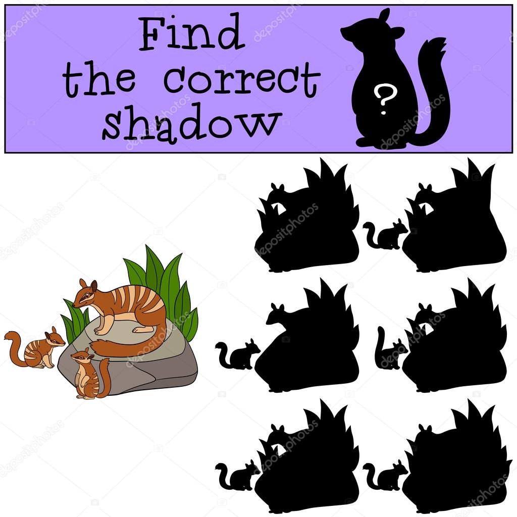 Educational game: Find the correct shadow. Mother numbat with ba Stock ...