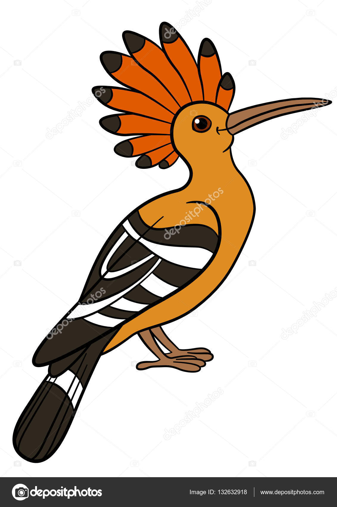 Hoopoe Cartoon