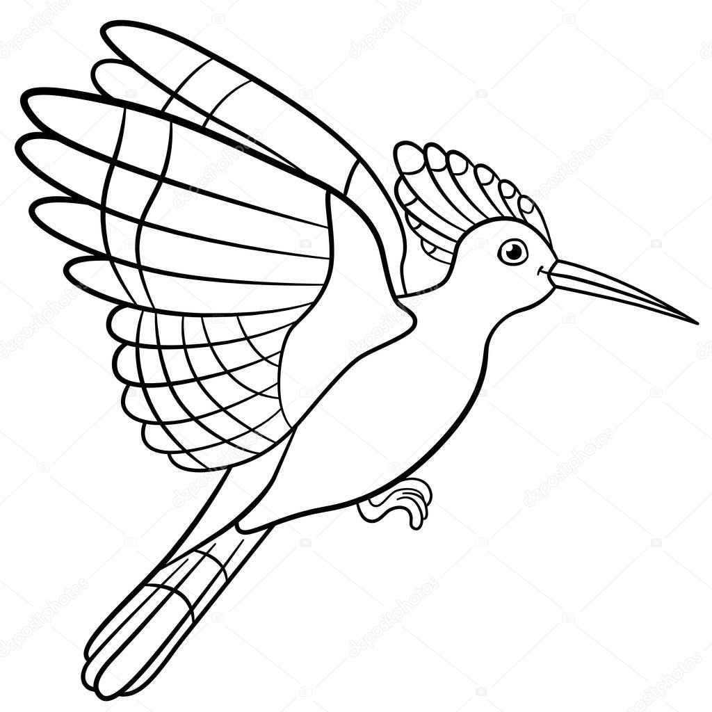 Disegni Da Colorare Di Uccelli Gru