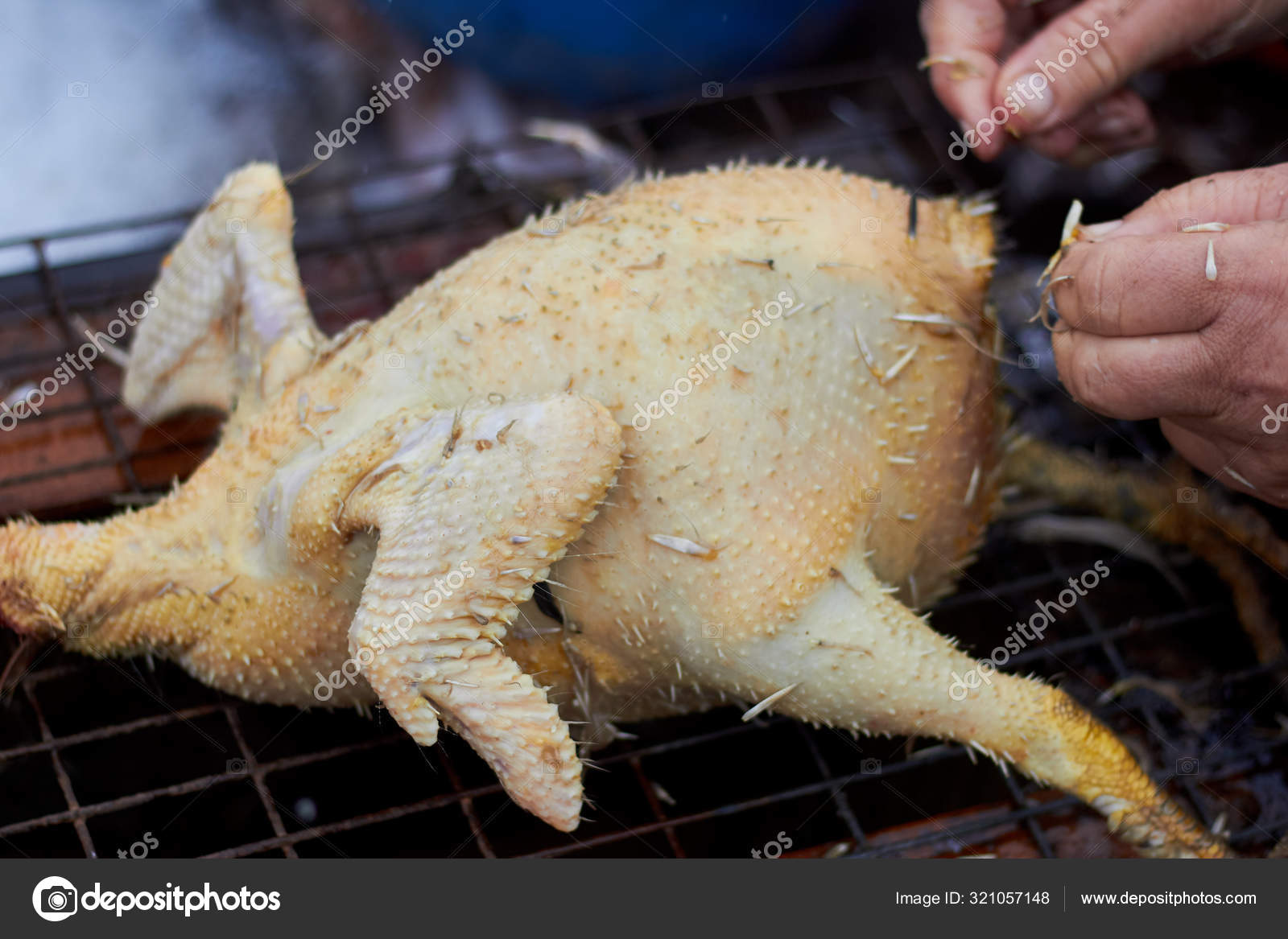 Dead chicken on the table. A farmer is grazing a chicken with your ...