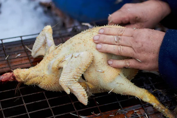 Dead chicken on the table. A farmer is grazing a chicken with your ...