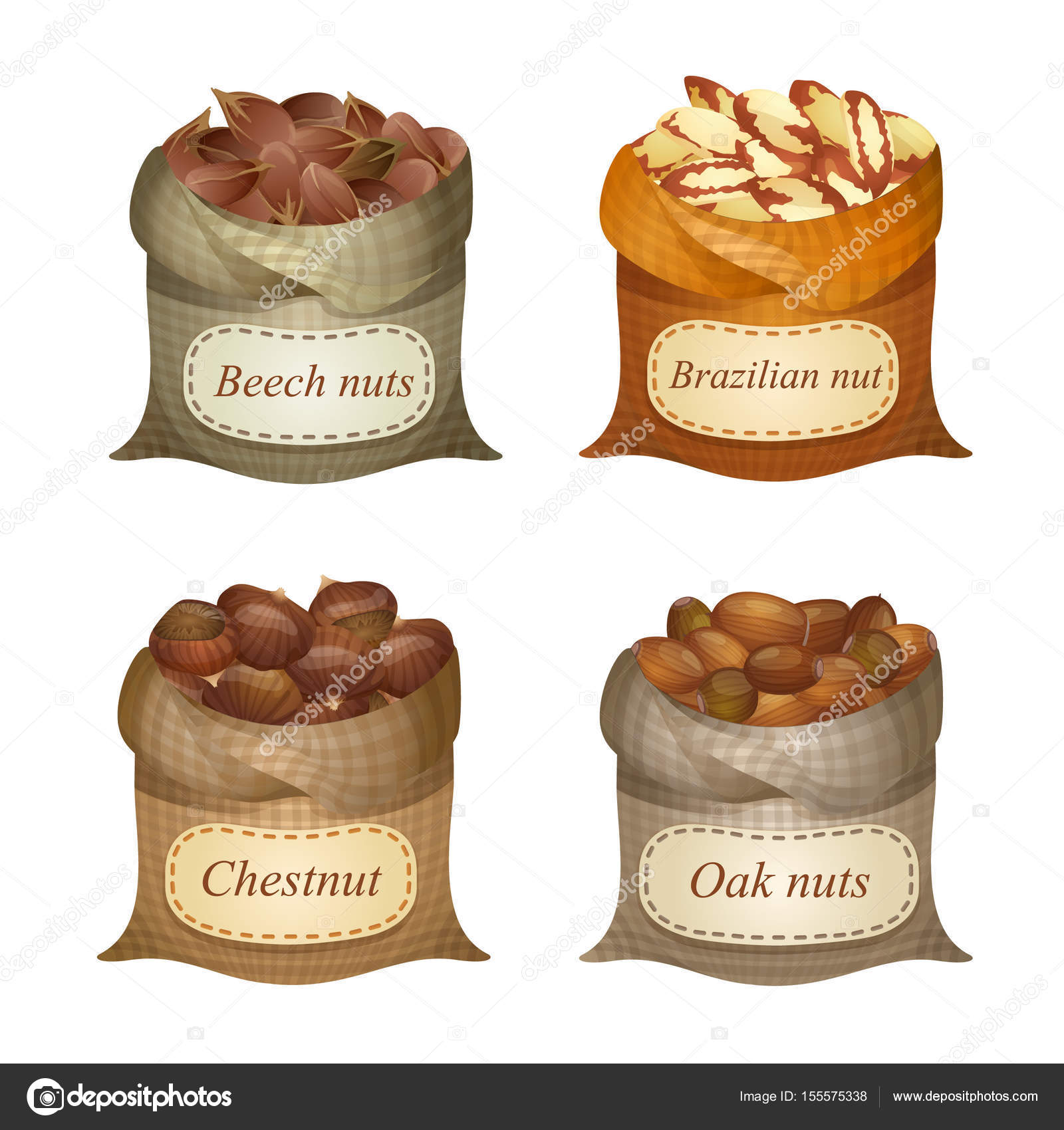 Untied sacks with batch of nuts and text labels on them Stock Vector by ...