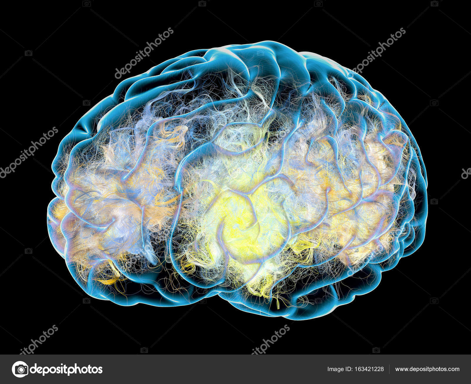 Brain, neurons, synapses, neural network circuit of neurons ... Brain, neurons, synapses, neural network circuit of neurons ...