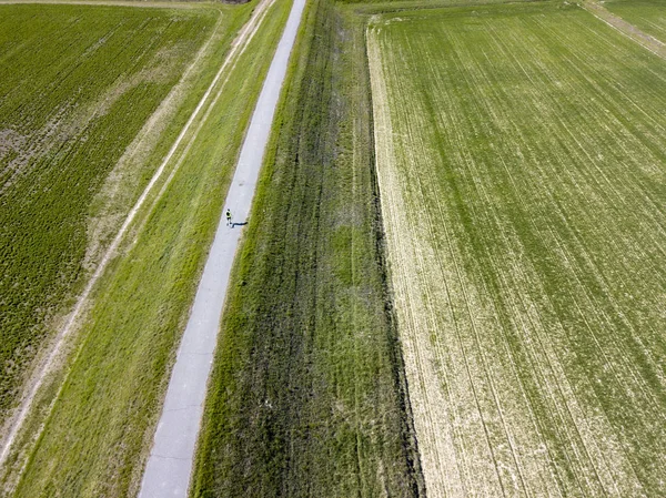 Running man, top view, aerial view, workout, sport, marathon ...