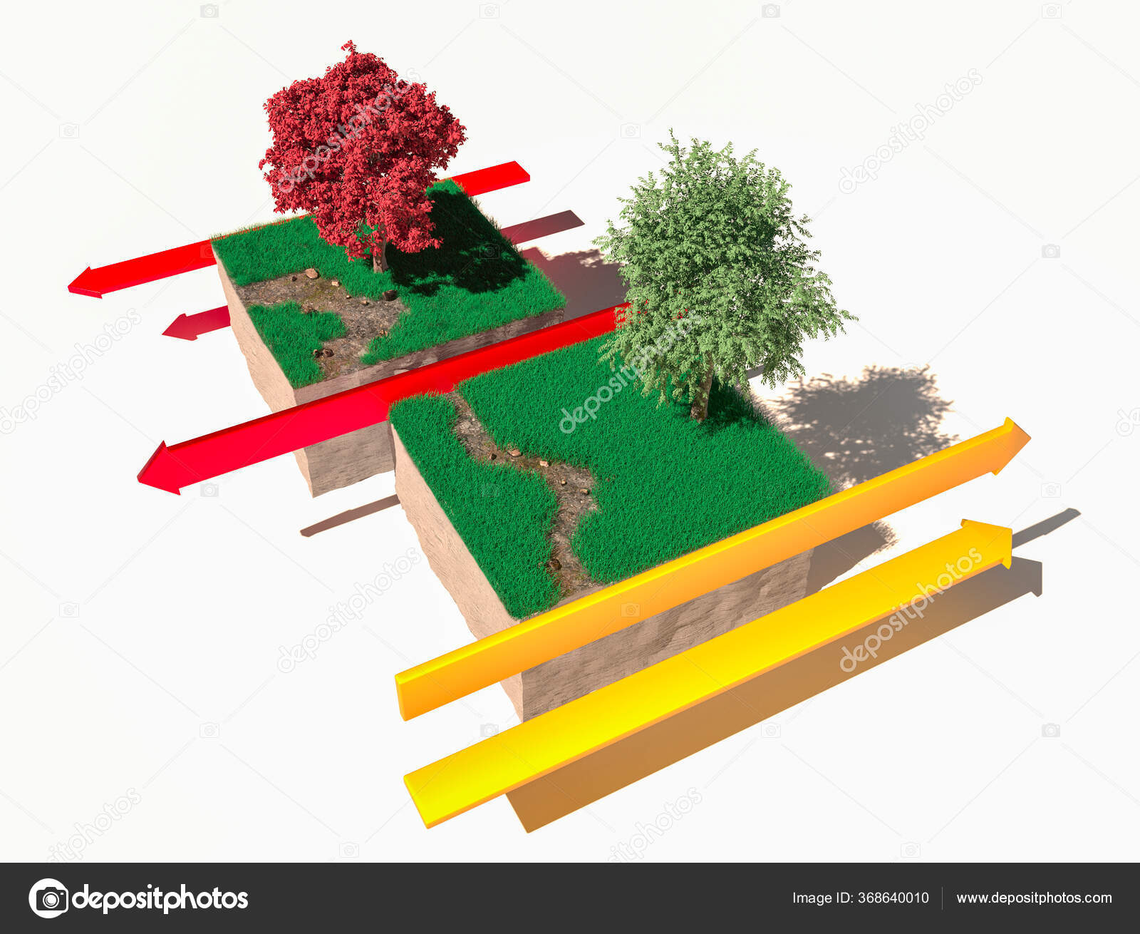 Different Types Plate Boundaries Transform Boundaries Terrain Section ...