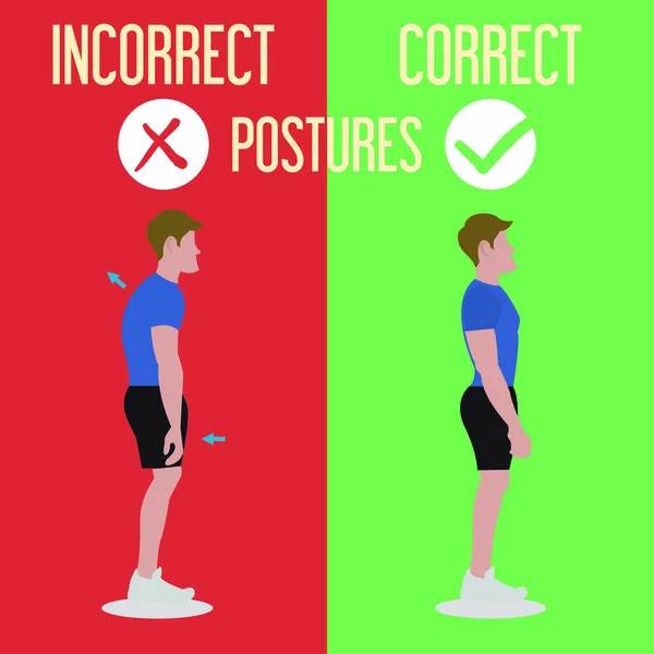 Correct Incorrect Postures Stock Vector Image by ©nicolarenna4 #161441446