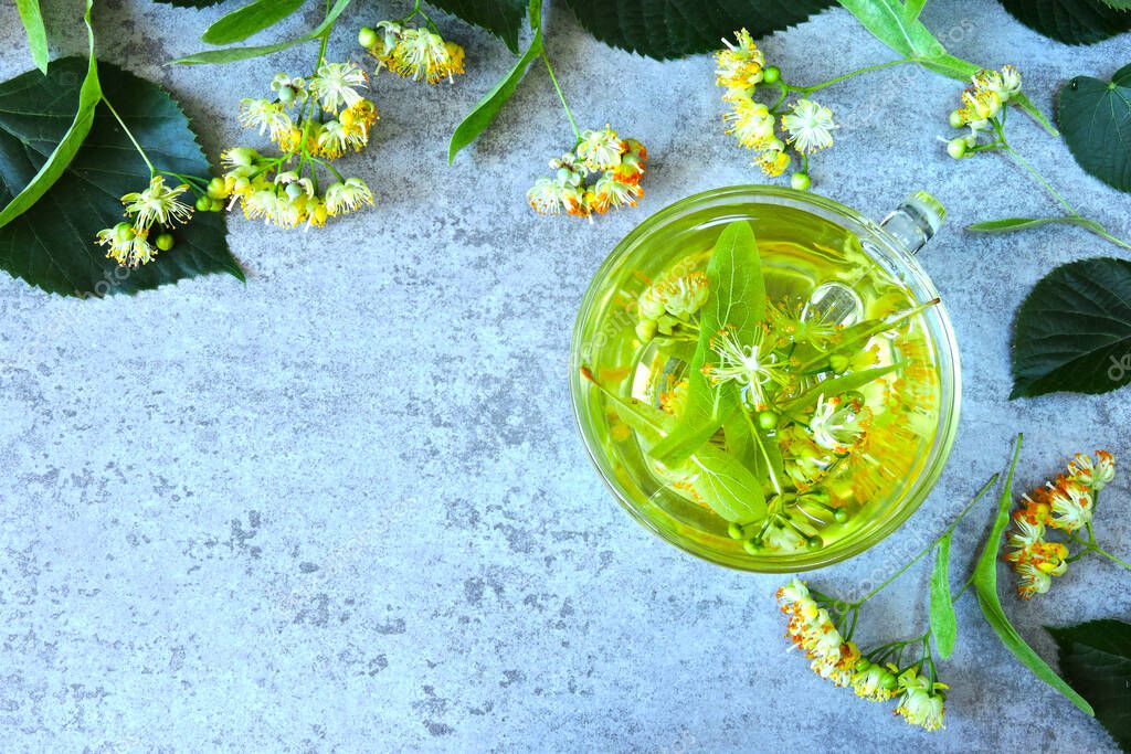 Hojas y flores de tilo. Té de lima fresca. Flores de tilo. Preparación ...