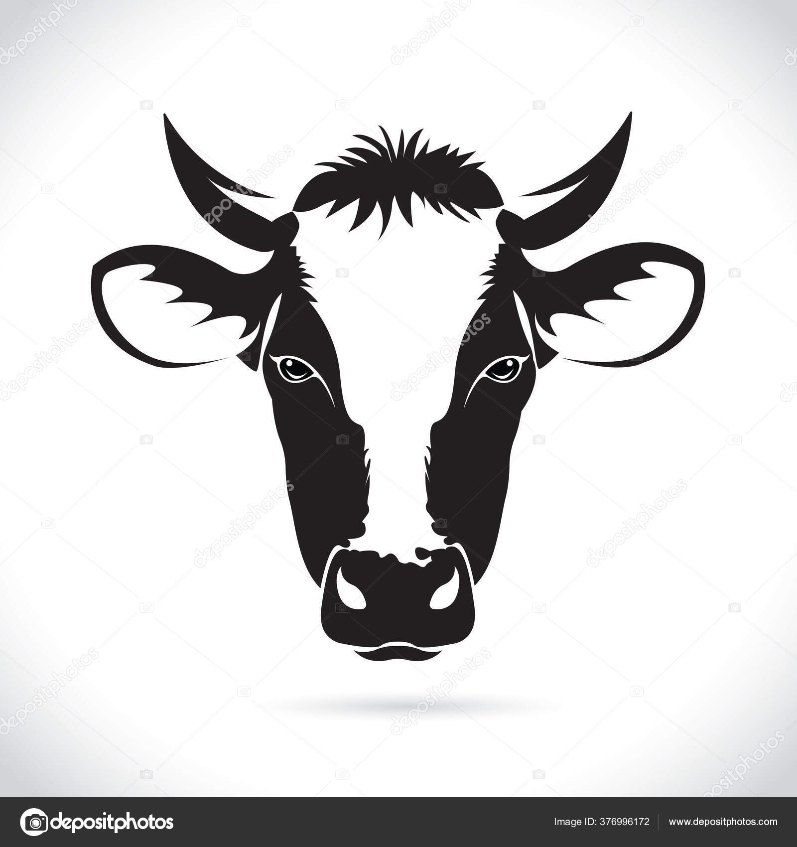 Vector Cow Head Design Isolated White Background Cow Head Logo Stock ... Vector Cow Head Design Isolated White Background Cow Head Logo Stock ...